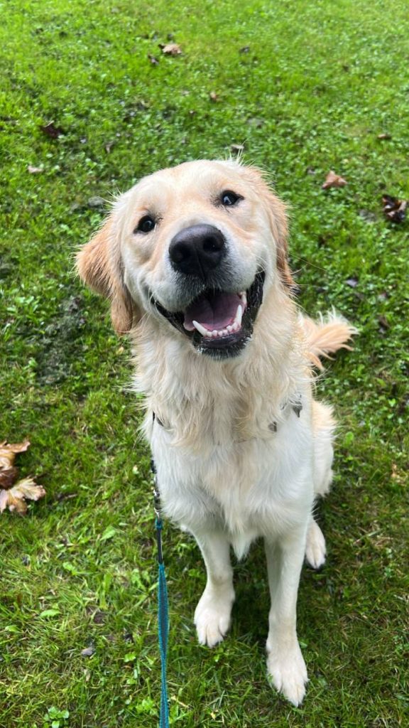 Private Lessons - jockosruffhouse.com