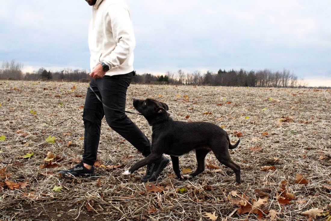 Jocko’s Ruff House - jockosruffhouse.com